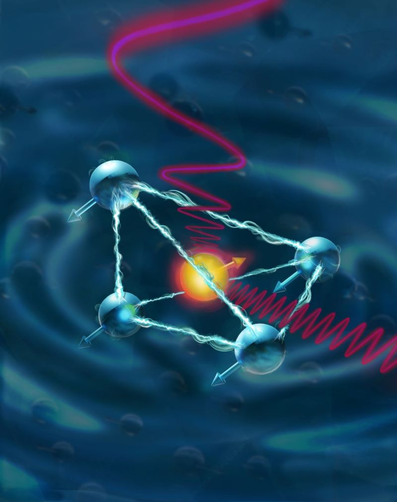 Nature paper by the Faraon group, Nuclear spin-wave quantum register ...